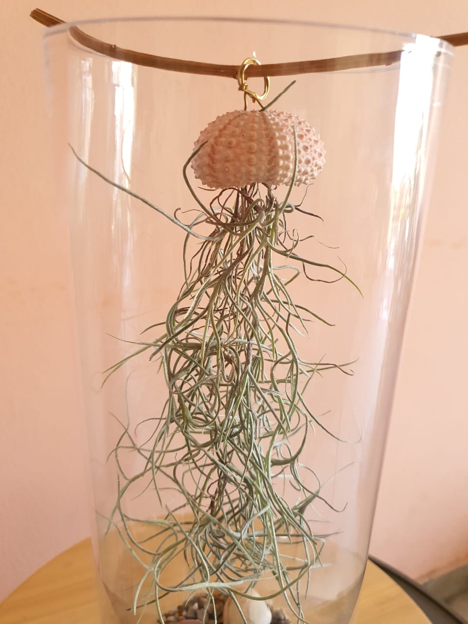 Marine Zen Jar – www.daun.com.my