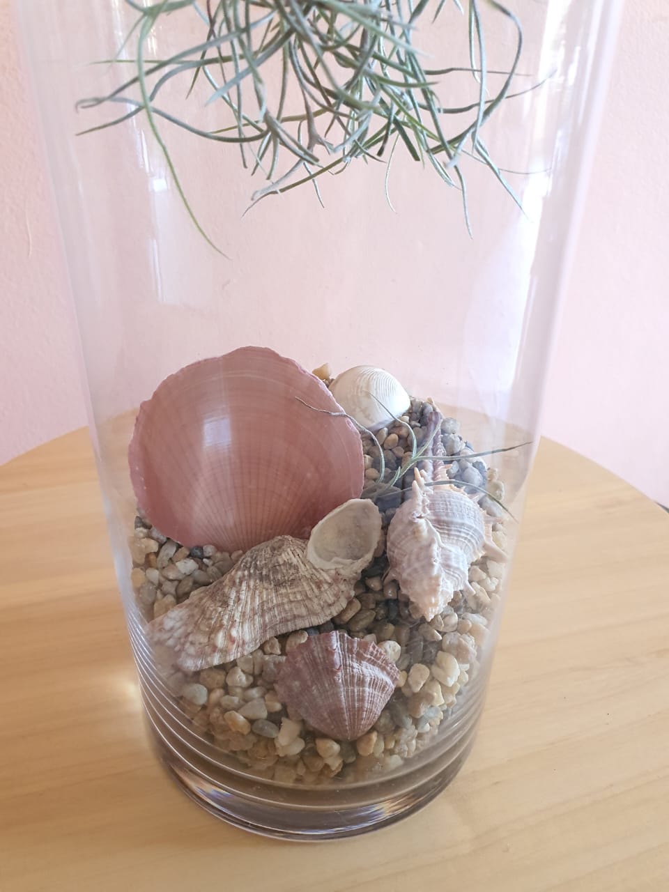 Marine Zen Jar – www.daun.com.my