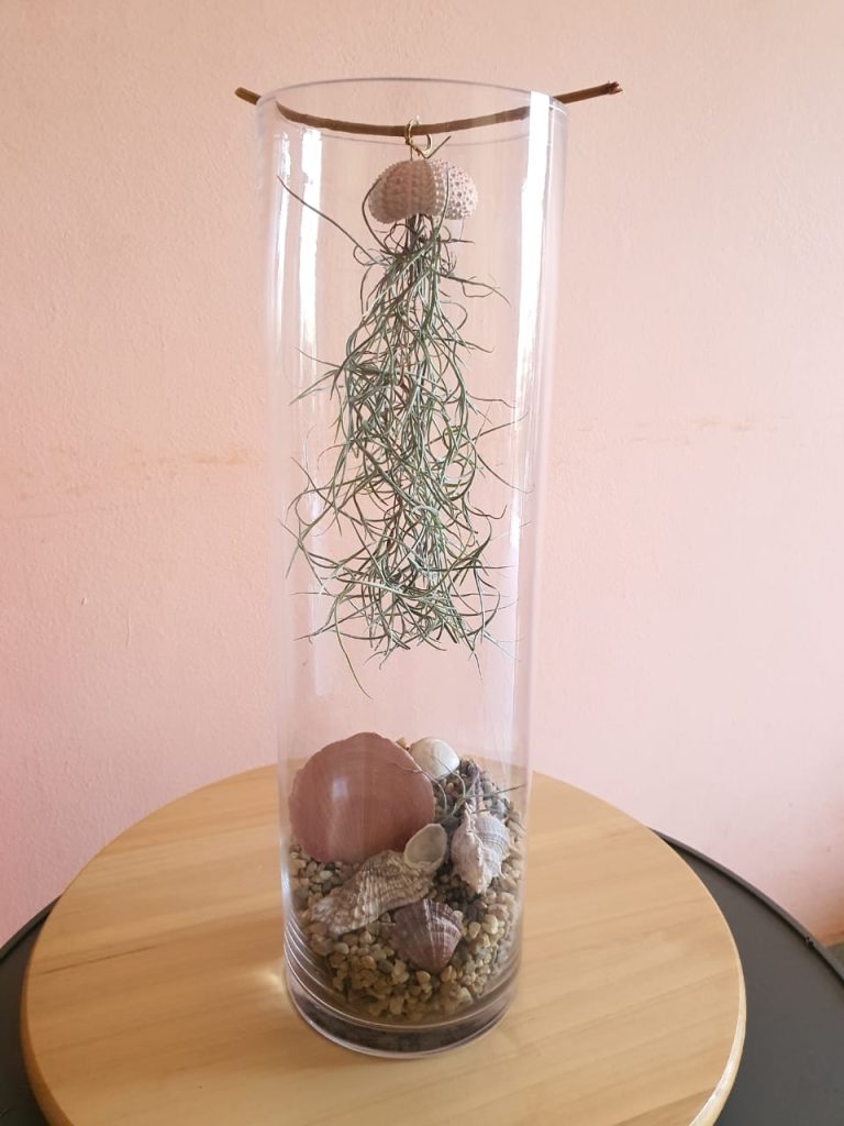 Marine Zen Jar – www.daun.com.my