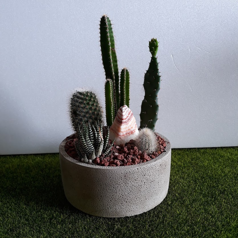 20171109_124714 – www.daun.com.my